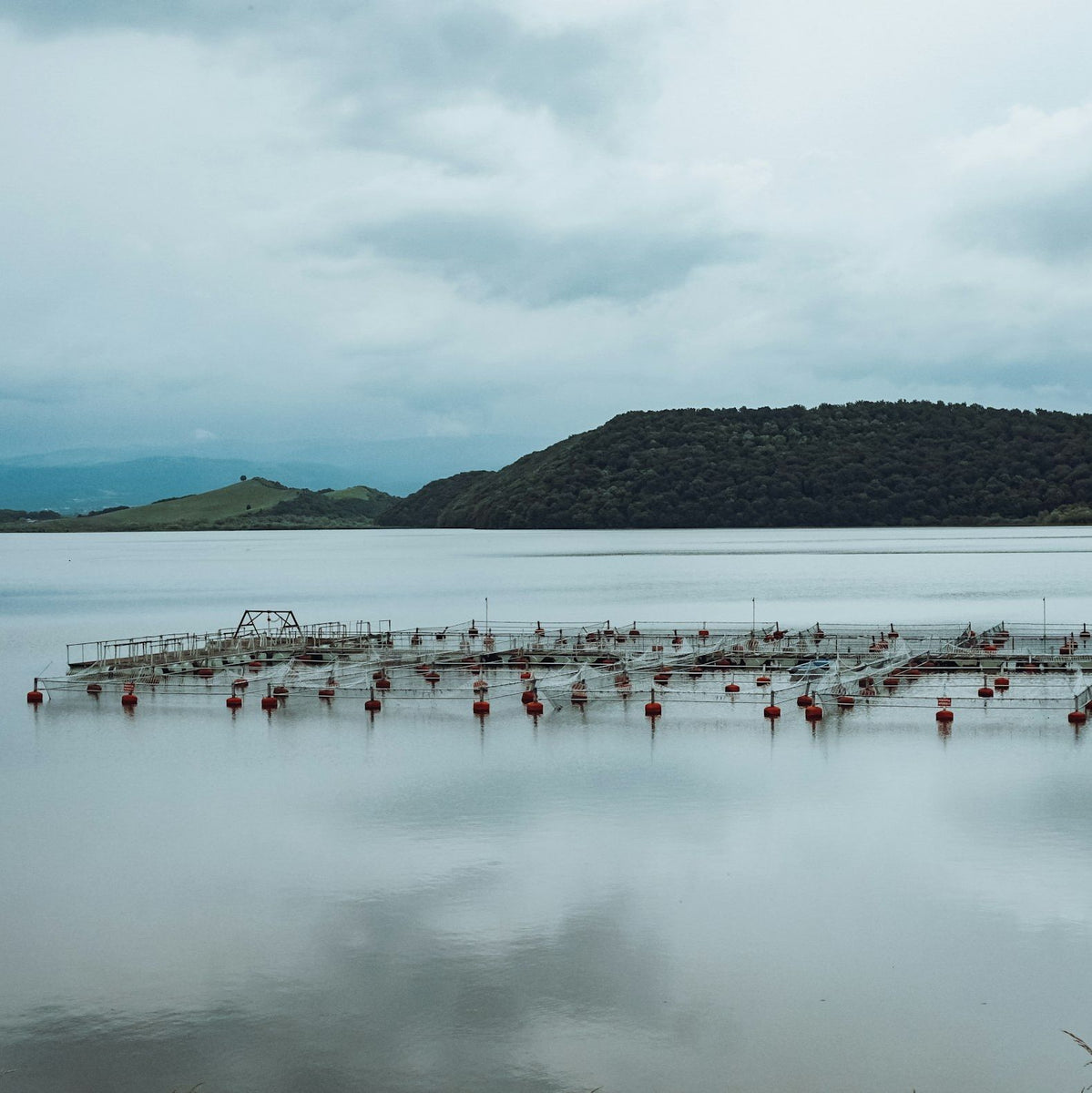 How can a floating fort help produce more sustainable seafood? – Oceans ...
